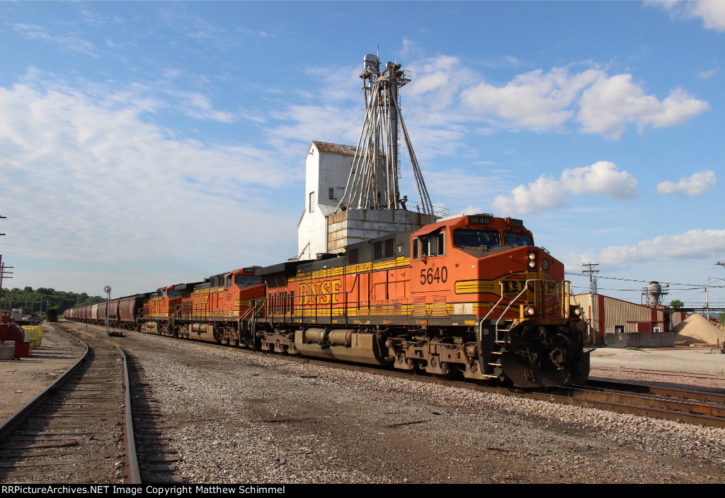 Elephant Style Grain Train